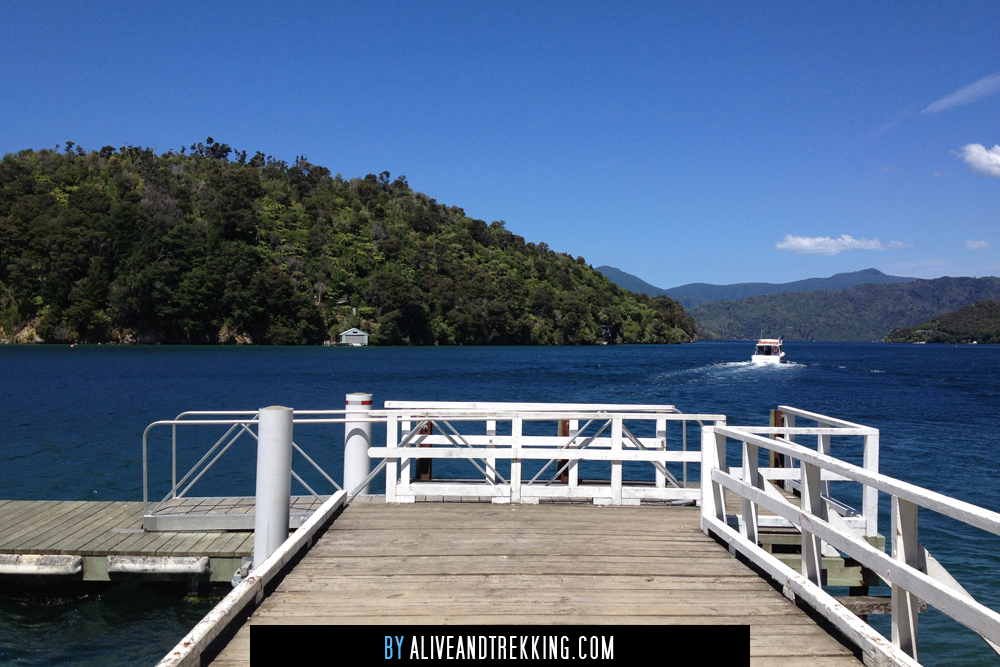 Waterfall Bay – Alive and Trekking