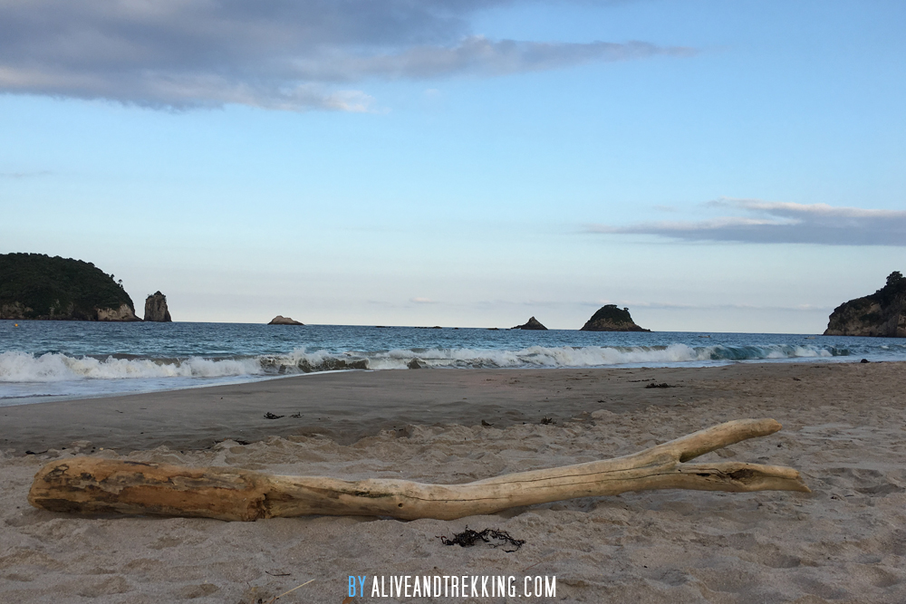 Stick figure – Alive and Trekking