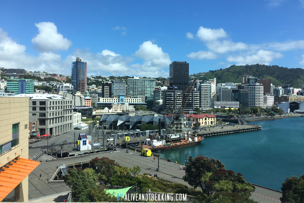 Wellington – Alive and Trekking