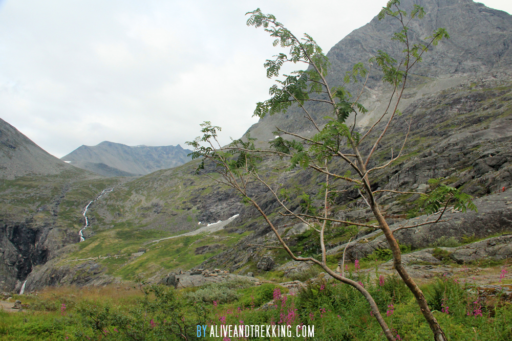 Trolls’ backyard – Alive and Trekking