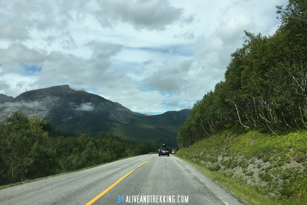 All you need… – Alive and Trekking