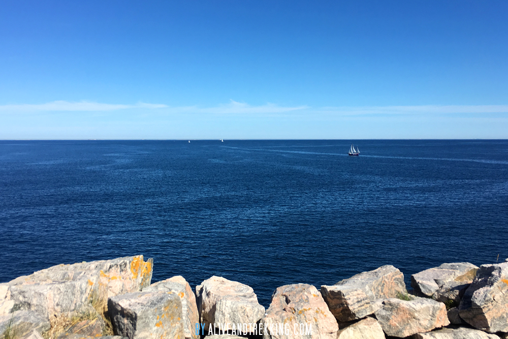 If you can’t change the direction of the wind, adjust your sails ...