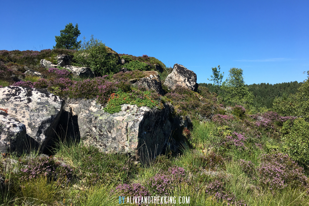 Block – Alive and Trekking