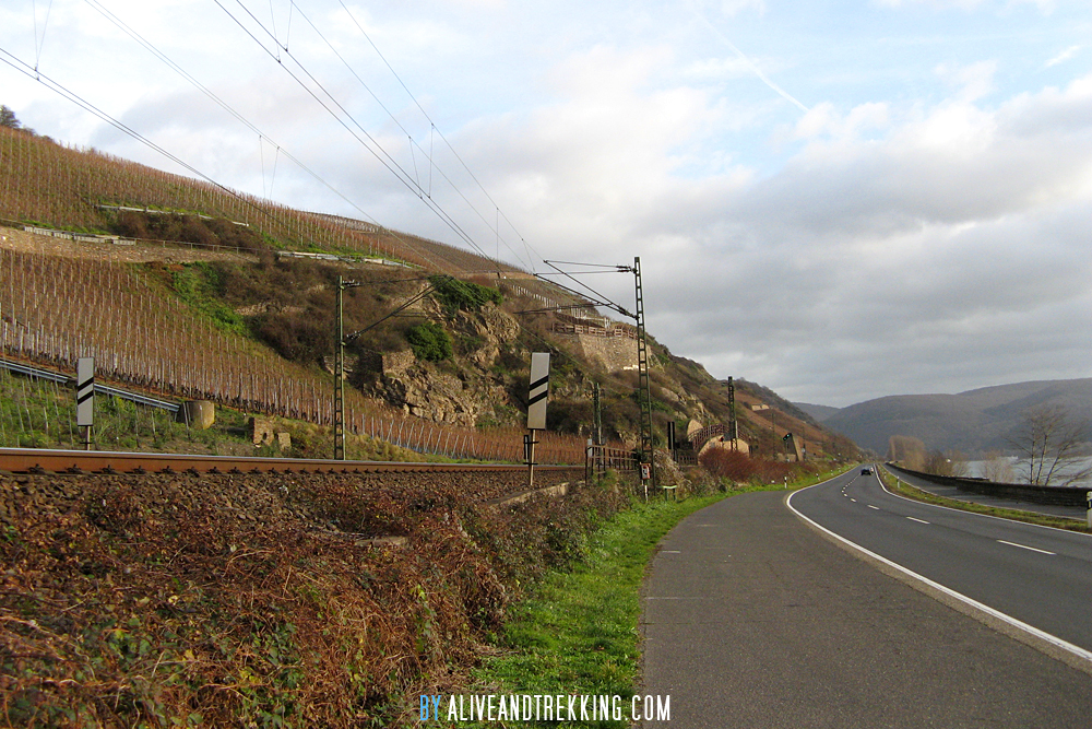 Rhine river road trip (say that five times fast) – Alive and Trekking