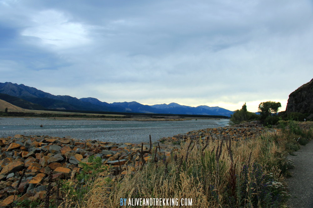 Lewis Pass – Alive and Trekking