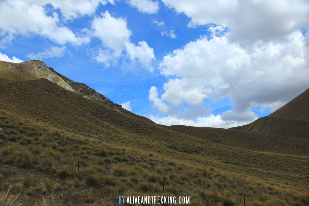Lindis Pass – Alive and Trekking