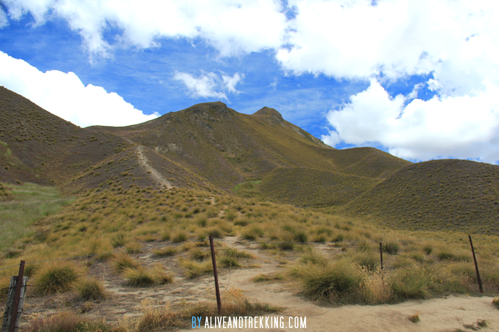 Tussock – Alive and Trekking