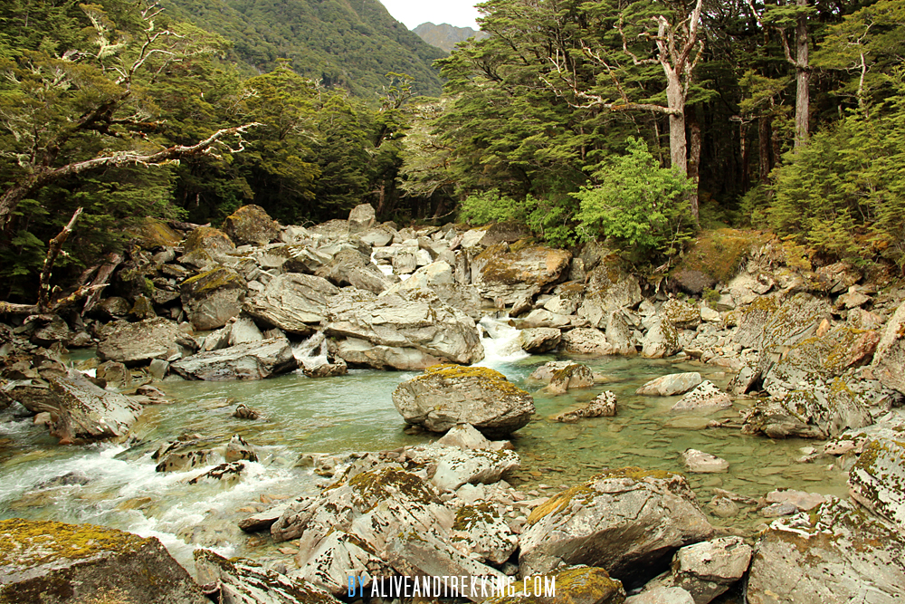 Love for the outdoors – Alive and Trekking