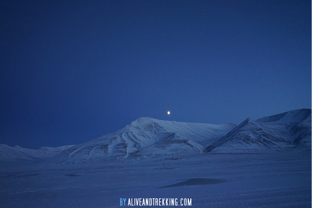 Late morning – Alive and Trekking