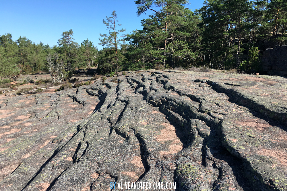 Stone flow – Alive and Trekking